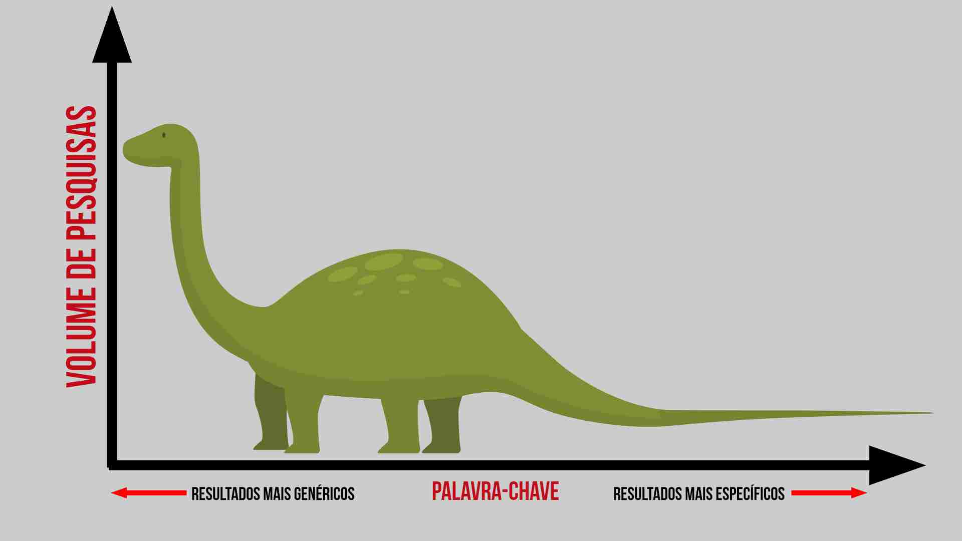 Cauda Longa: O que é e como usar no Marketing Digital?