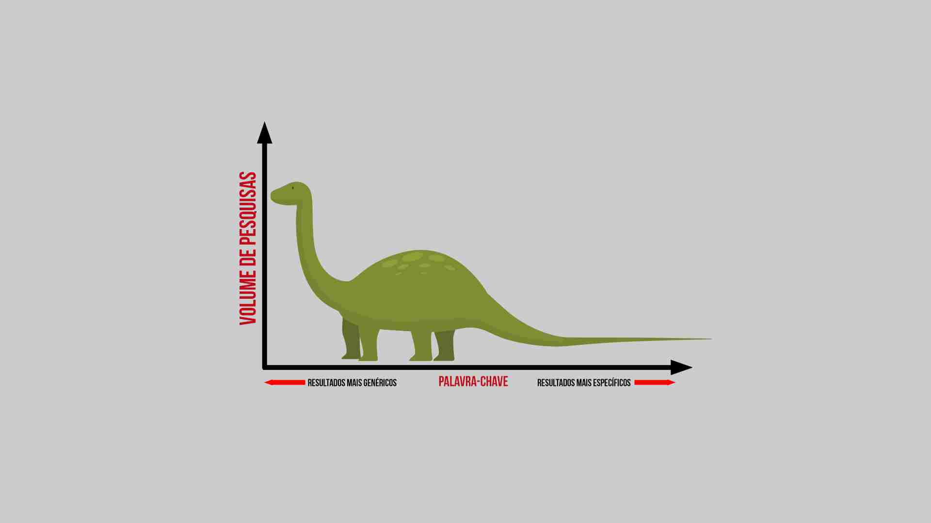 Cauda Longa: O que é e como usar no Marketing Digital?